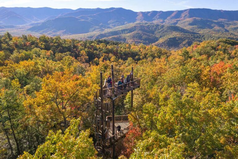 Zipline Gatlinburg & Pigeon Forge | CLIMB Works Smoky Mountains